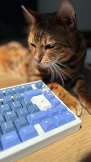 Keyboard building commissions – Get Switched